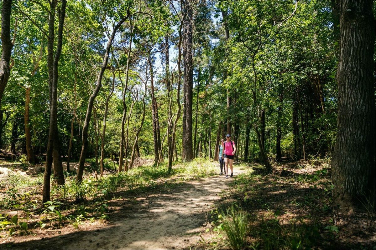 George Mitchell Nature Preserve | The Woodlands Township, TX