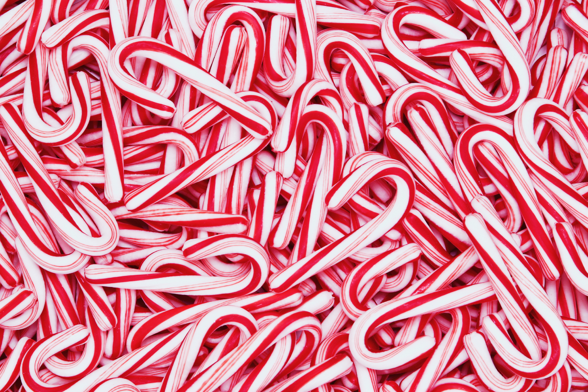 Flashlight Candy Cane Hunt | The Woodlands Township, TX